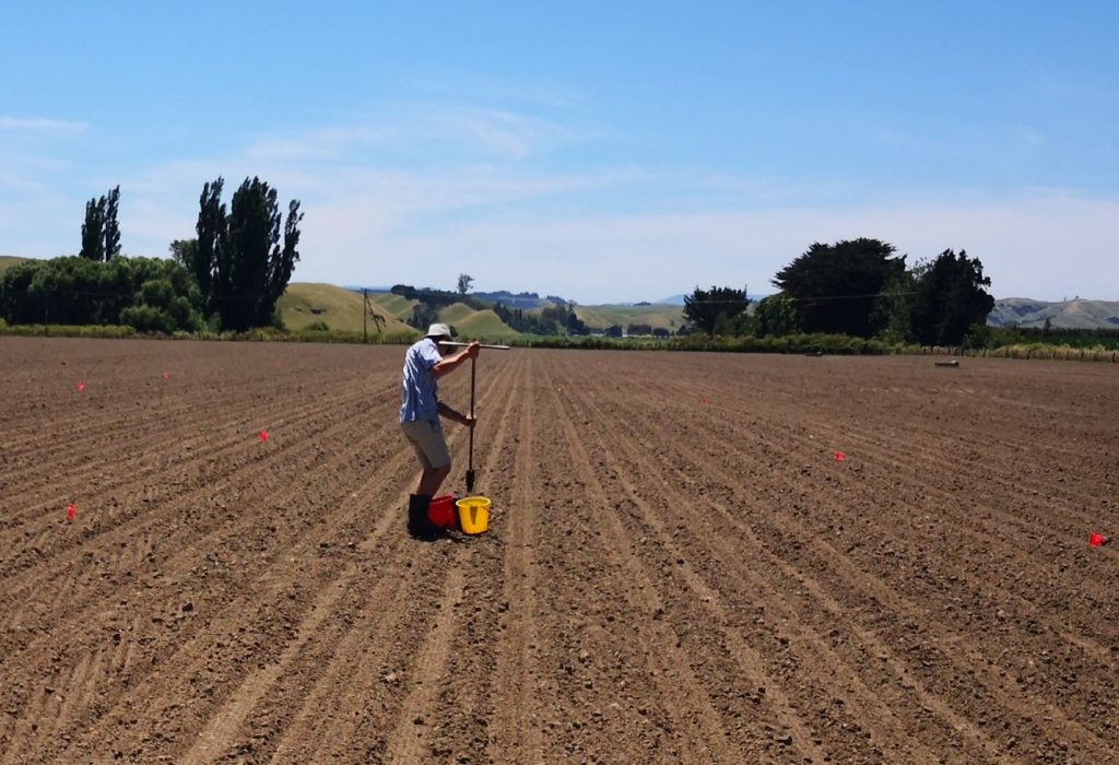 Update – BMPs for Process Vegetable Crops | LandWISE